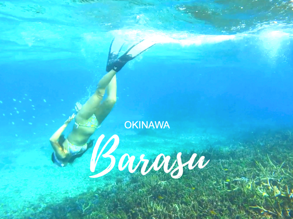 Barasu Island OKINAWA | 沖縄西表島に浮かぶ小さな珊瑚礁の島 – リゾートめぐり｜八木あき
